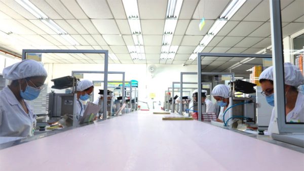 Blog - New Stetic México